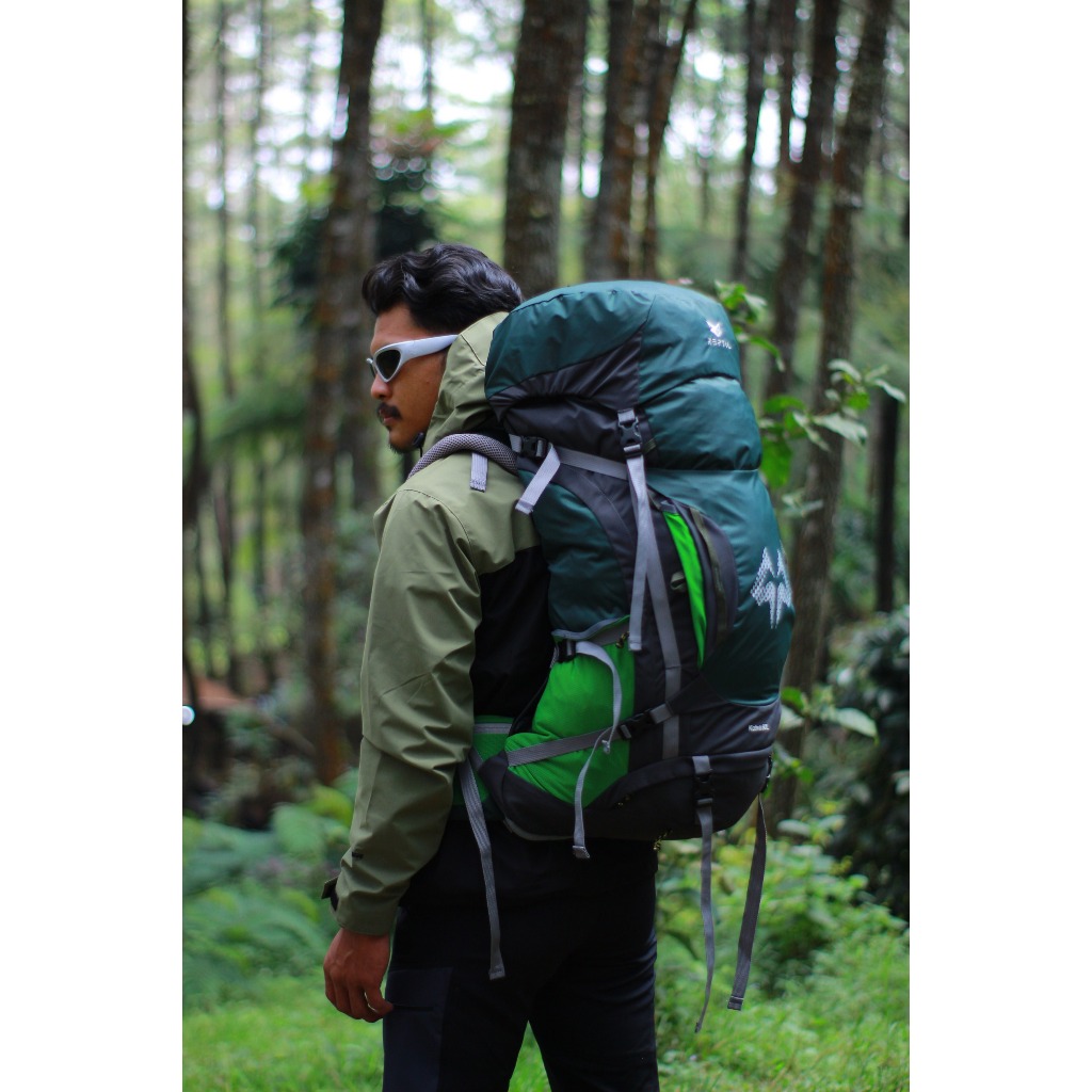 Jual TAS GUNUNG/CARRIER 60L REPTIL ADVENTURE KOBRA series | Shopee ...