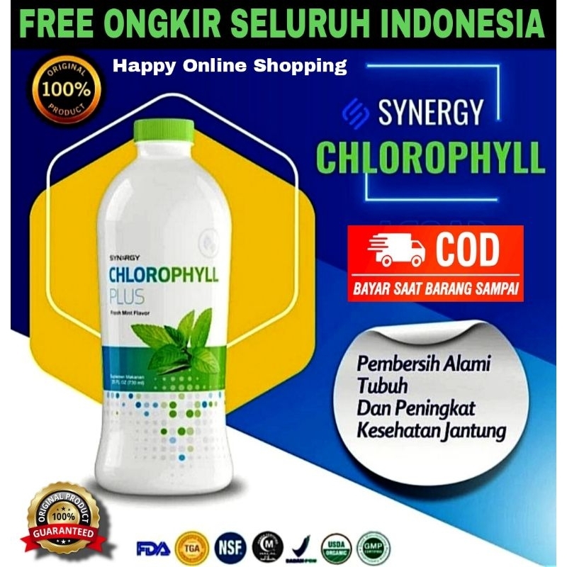 Jual [ TERLARIS DI SHOPEE ] Suplemen Kesehatan Klorofil Liquid ...