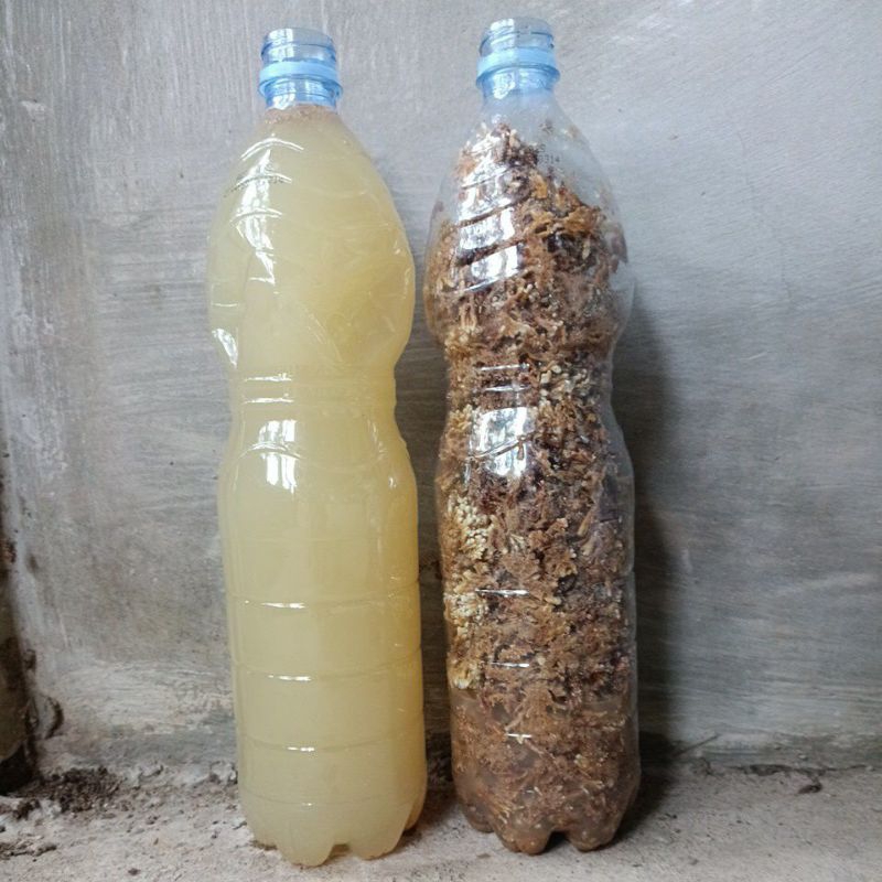 Jual Air rendaman jakaba 1 liter | Shopee Indonesia