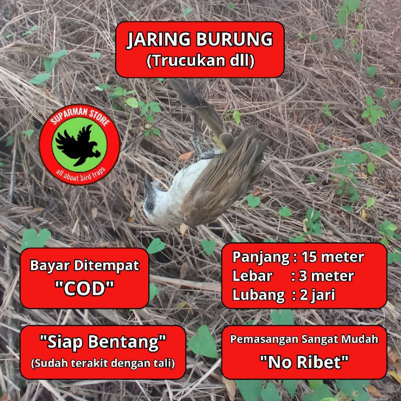 Jual JARING TERUCUKAN JARING CERUCUKAN JARING10 JARI JARING MURAH ...