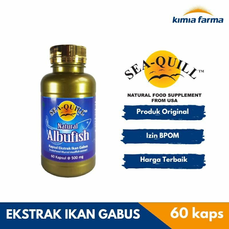 Jual SEA QUILL NATURAL ALBUFISH 60 KAPSUL | Shopee Indonesia
