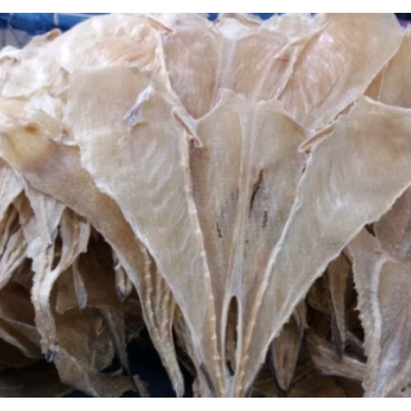 Jual Ikan Pari Kering Super 1 Kg | Shopee Indonesia