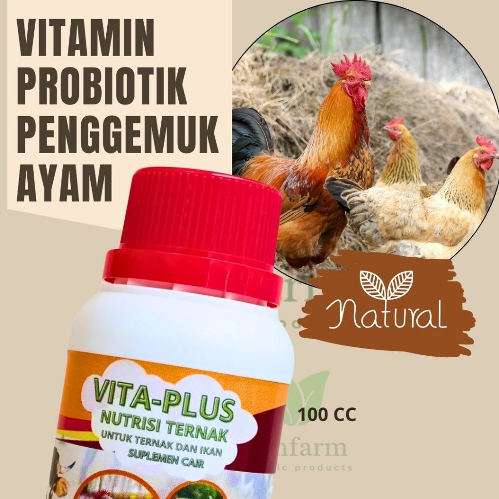 Jual VITAMIN AYAM CEPAT BESAR UNTUK AYAM KAMPUNG AYAM BANGKOK AYAM ...