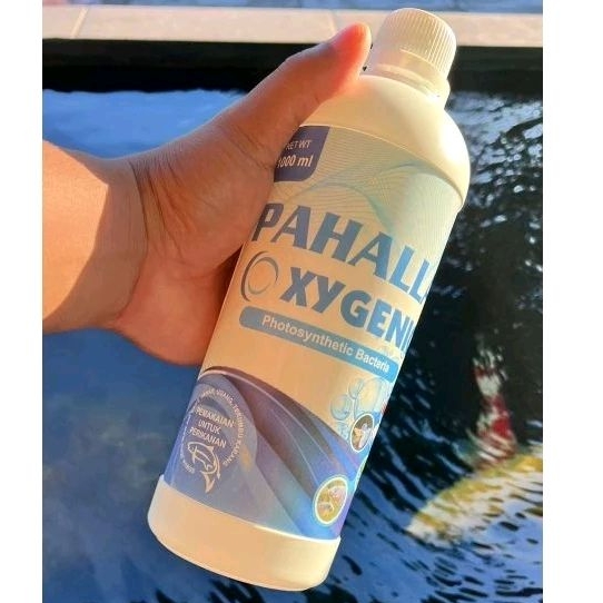Jual Oxygenic Perikanan Probiotic Bakteri Starter Kolam Akuarium ...