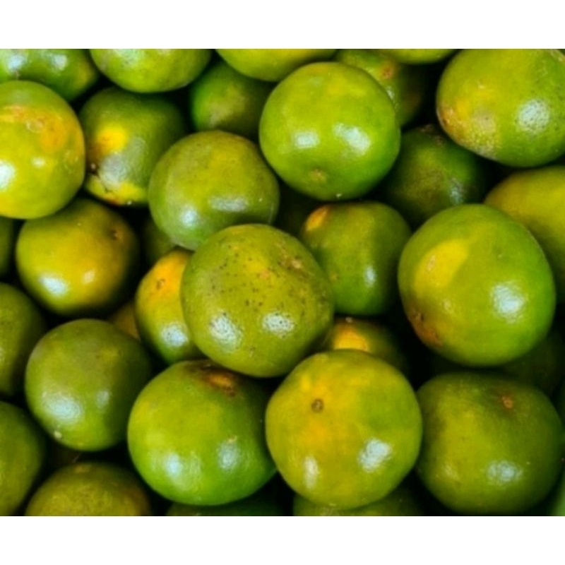 Jual Jeruk peras, Siyem madu 1kg | Shopee Indonesia