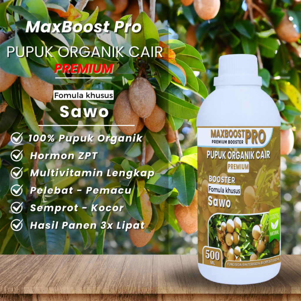 Jual pupuk organik cair plus hormon pelebat buah sawo, poc kompos khusus tanaman buah sawo Pupuk ...