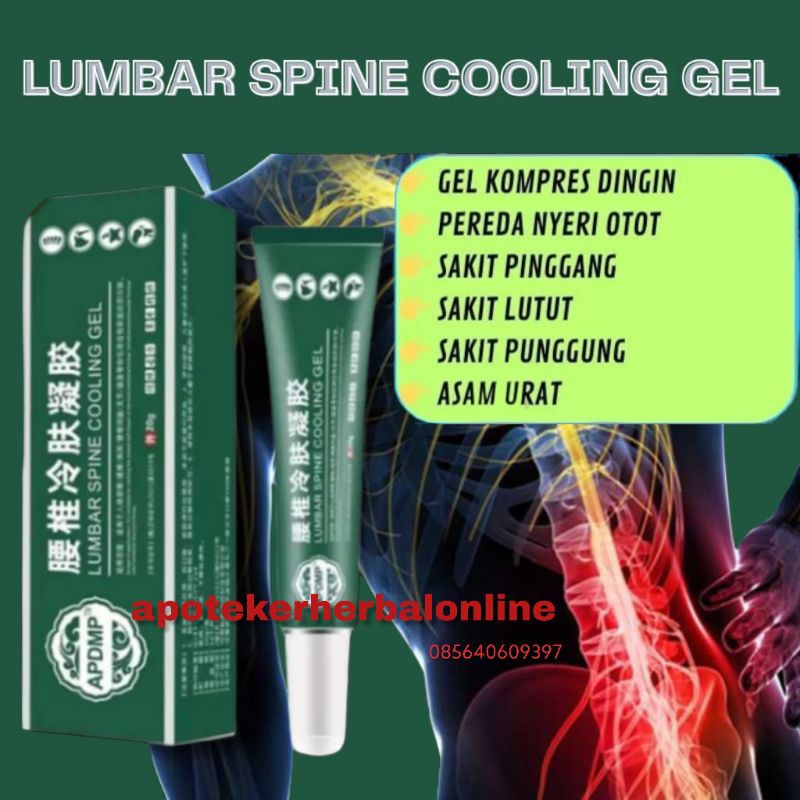 Jual [PAKET TERMURAH 6 PCS] APDMP Salep Lumbar Asli Cream Lumbar 100% Original Lumbar Cold ...