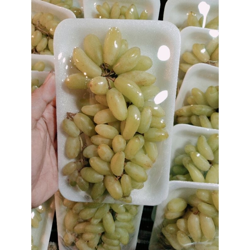 Jual Anggur India sonaka hijau 250gr | Shopee Indonesia