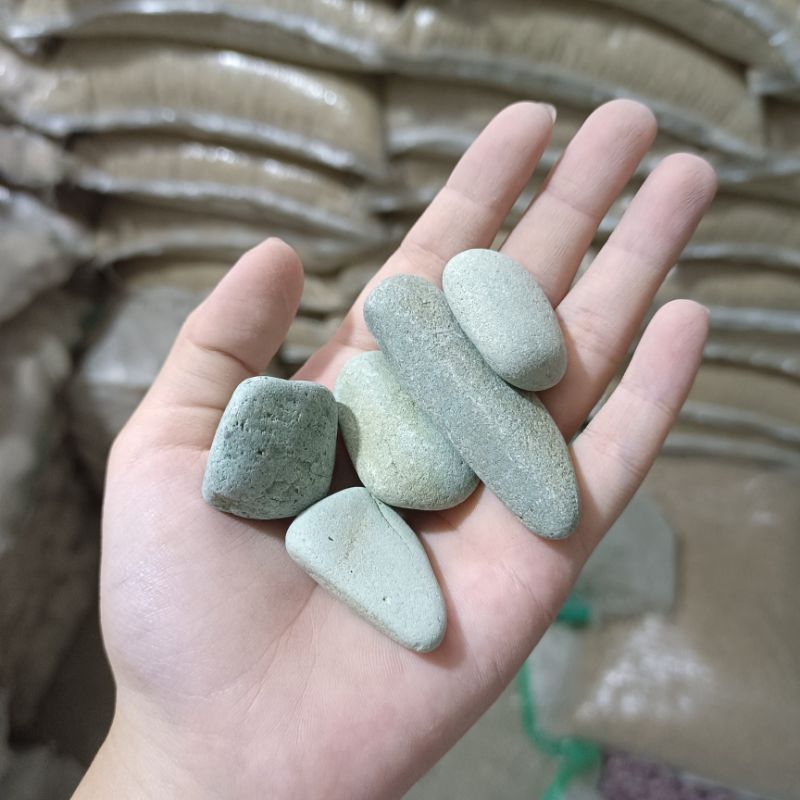 Jual Batu Hijau Taman Flores KARUNGAN 20kg / Batu Coral Hijau Flores / Batu Kupang Hijau / Batu ...