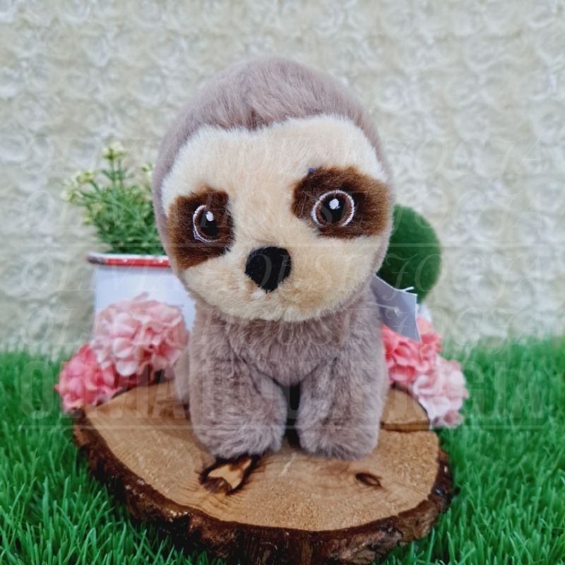 Jual Boneka Kukang Coklat Mini Mata Bordir Boneka Sit Brown Slow Loris ...