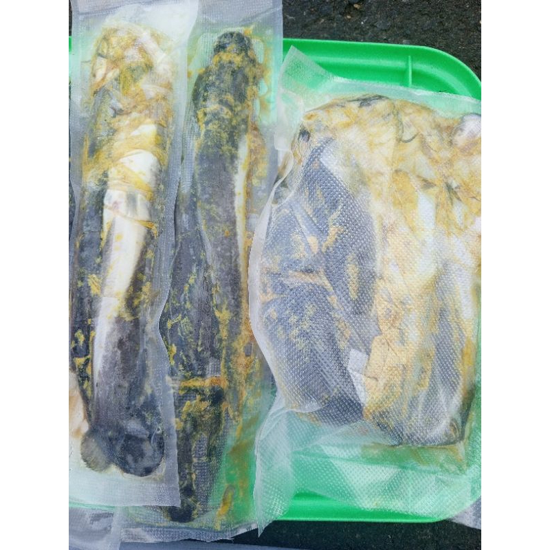 Jual lele frozen bumbu kuning isi 4 pcs ( netto 350 gr ) | Shopee Indonesia