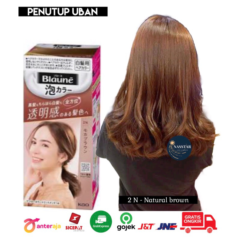 Jual Liese Blaune bubble foam hair color 2N NATURAL BROWN | Shopee ...