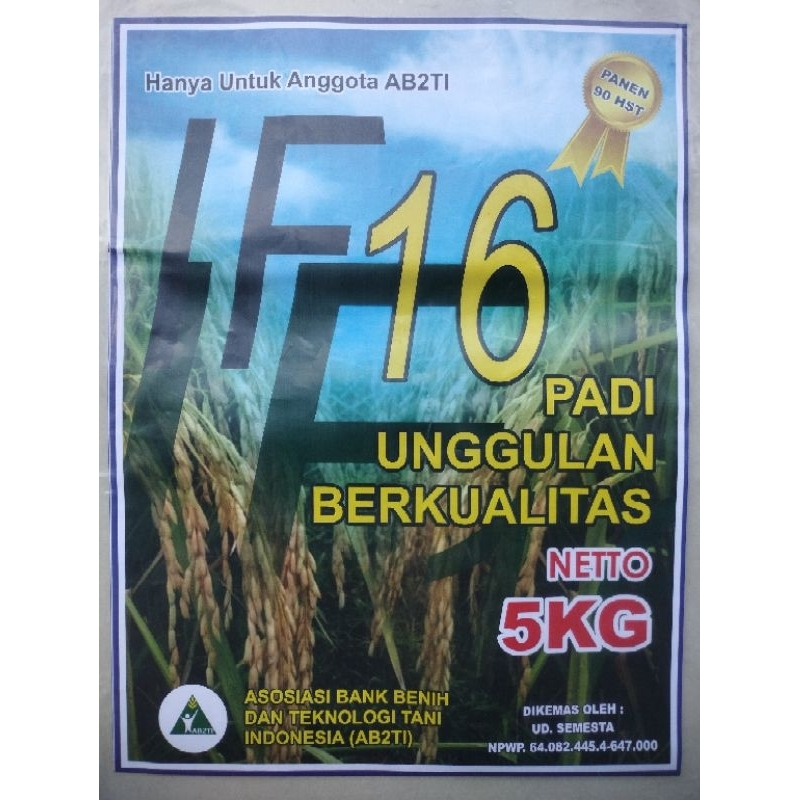 Jual Biji Padi IF16 Bibit IF 16 bobot 5 kg | Shopee Indonesia