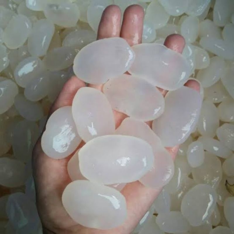 Jual Kolang kaling | cangkaleng segar 1 kg | Shopee Indonesia