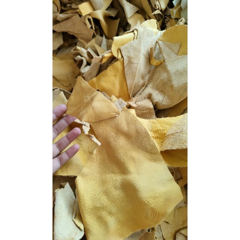 Jual Limbah kulit warna kuning pucat | Shopee Indonesia