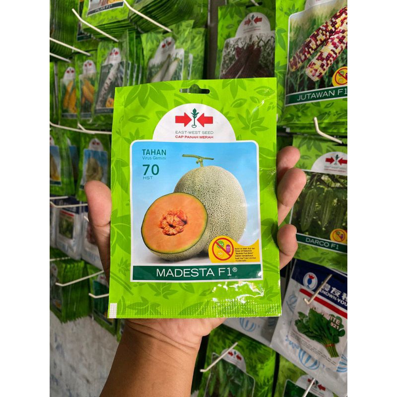 Jual Benih Bibit Melon Madesta F1/ Melon Jumbo Daging Merah ...