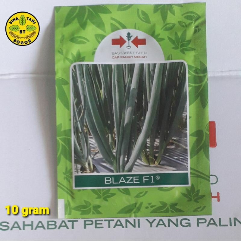 Jual Benih Daun Bawang BLAZE F1/Bibit unggul isi 10 gram | Shopee Indonesia