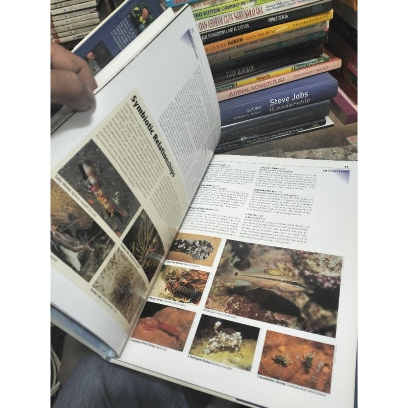 Jual Buku Import MARINE LIFE OF INDONESIA AND THE INDO PACIFIC by ...