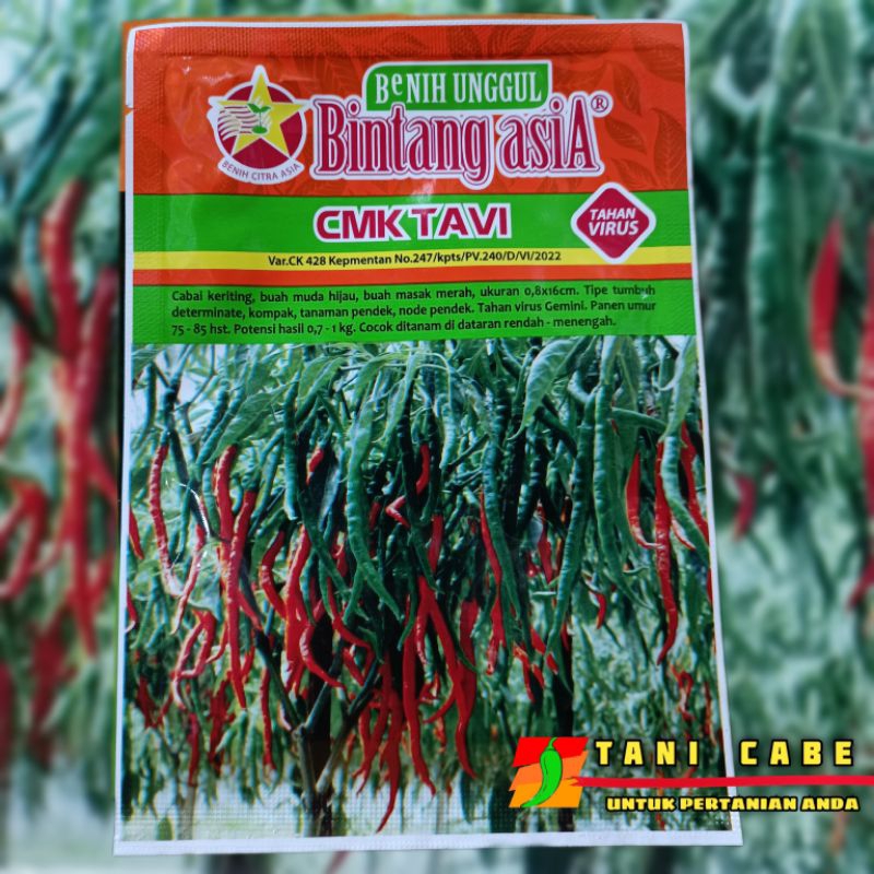 Jual BENIH CABE KERITING CMK TAVI TAHAN VIRUS~10 GRAM | Shopee Indonesia