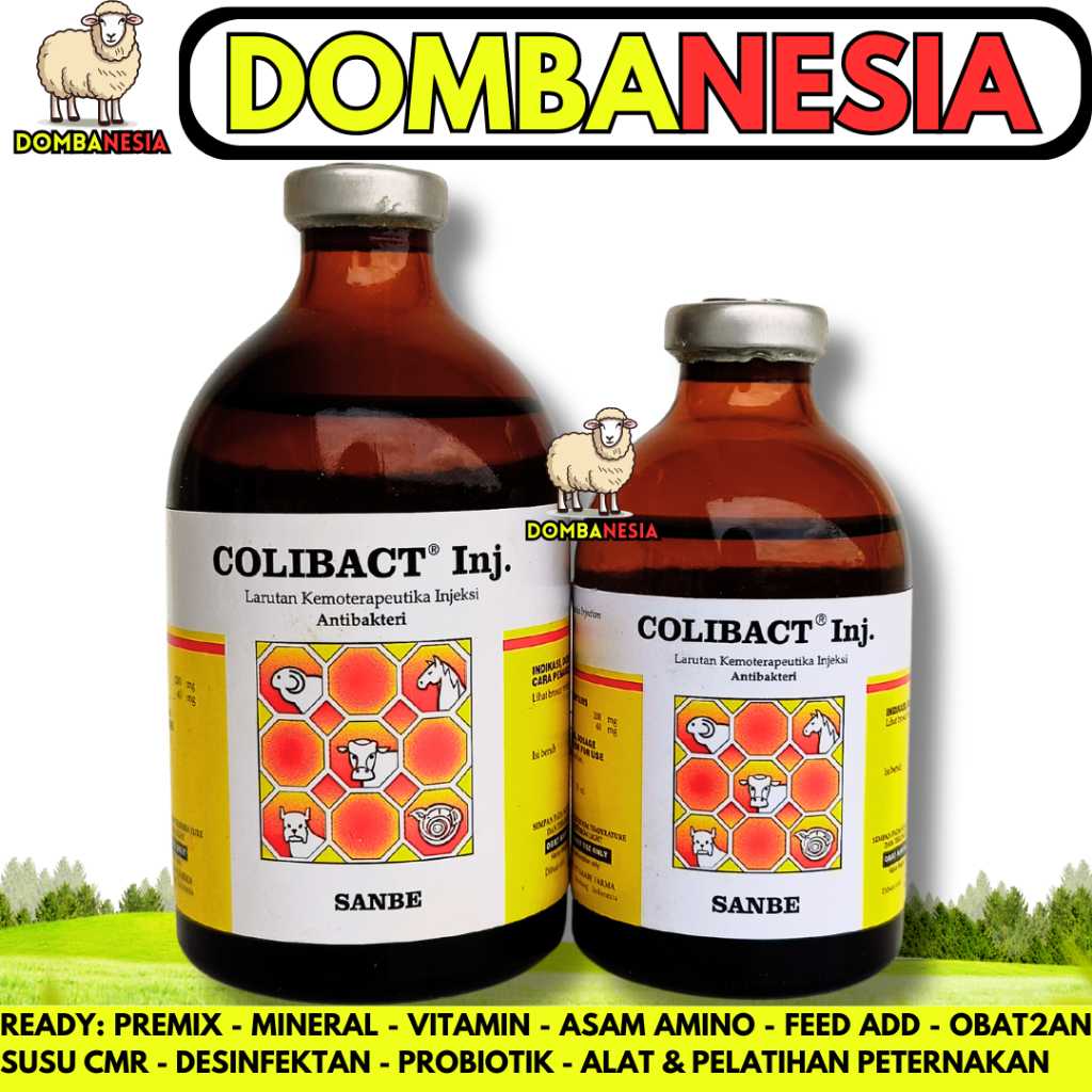 Jual COLIBACT INJEKSI 50ml COLIBACT INJ 100ml - Obat Mencret Sapi ...