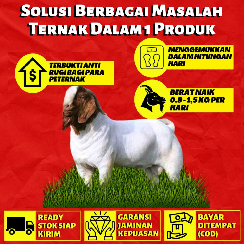 Jual Penggemuk Sapi Nutrisi Kambing Penambah Nafsu Makan Hewan Ternak ...