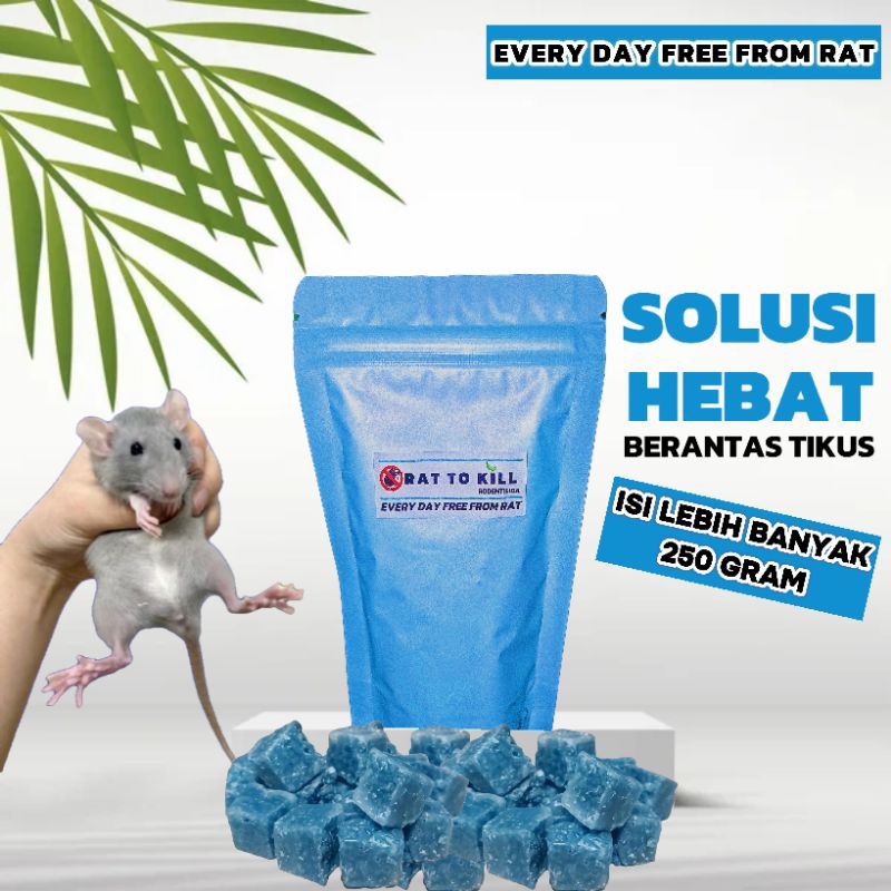 Jual RAT TO KILL 250 Gram Kemasan Lebih Besar Isi Lebih Banyak Pembasmi ...