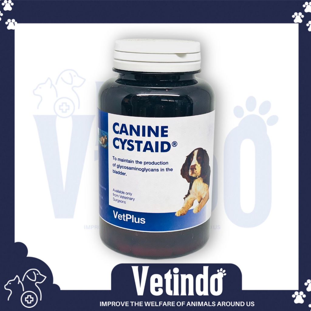 Jual Vetplus canine cystaid percapsul | Shopee Indonesia