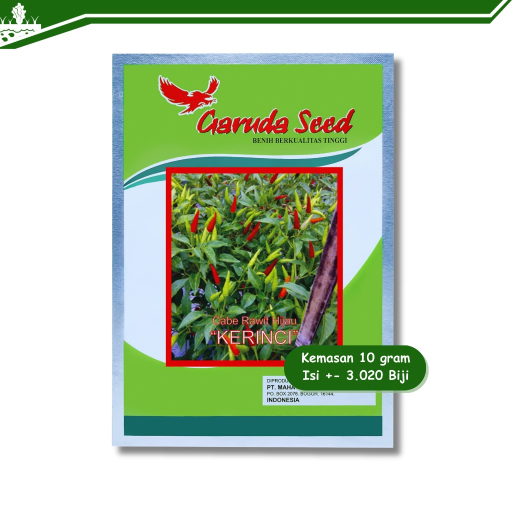 Jual Benih cabai rawit hijau kerinci Garuda Seed 10 Gram bibit biji ...