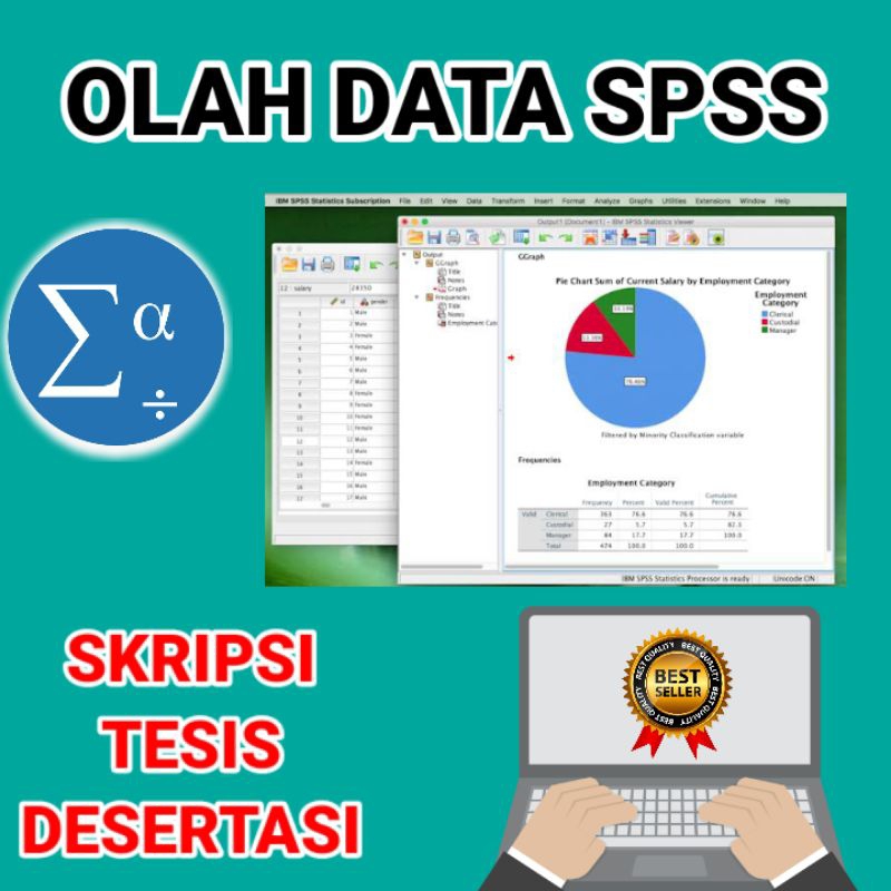 Jual SPSS/OLAH DATA/SKRIPSI/TESIS/DESERTASI | Shopee Indonesia