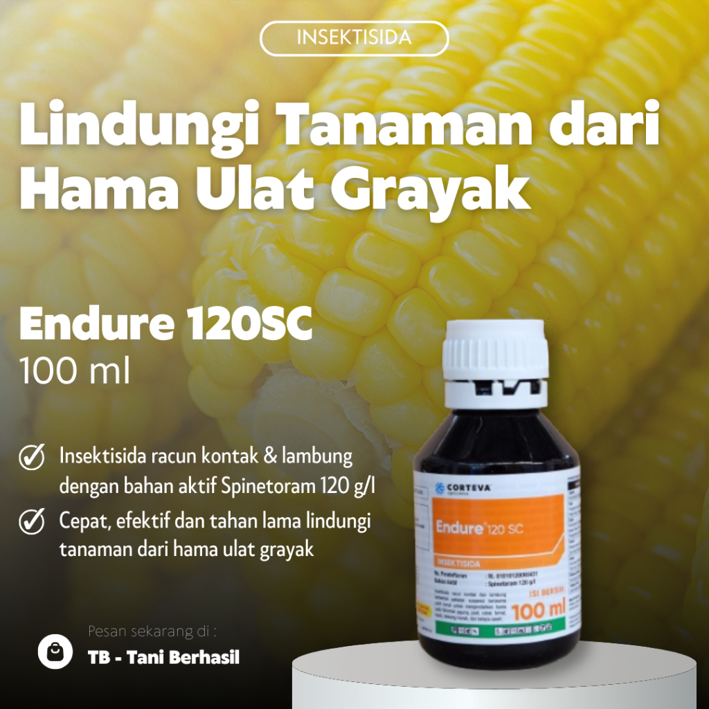 Jual Insektisida Endure 120SC 100 ml, Obat Hama Ulat Grayak Pada ...