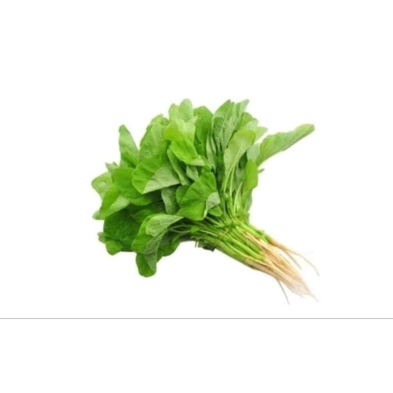 Jual SAYUR BAYAM (per ikat) | Shopee Indonesia