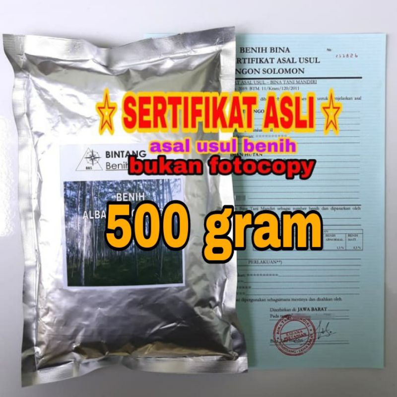 Jual BENIH ALBASIA SOLOMON / BIJI ALBASIA SOLOMON KEMASAN 500g | Shopee ...