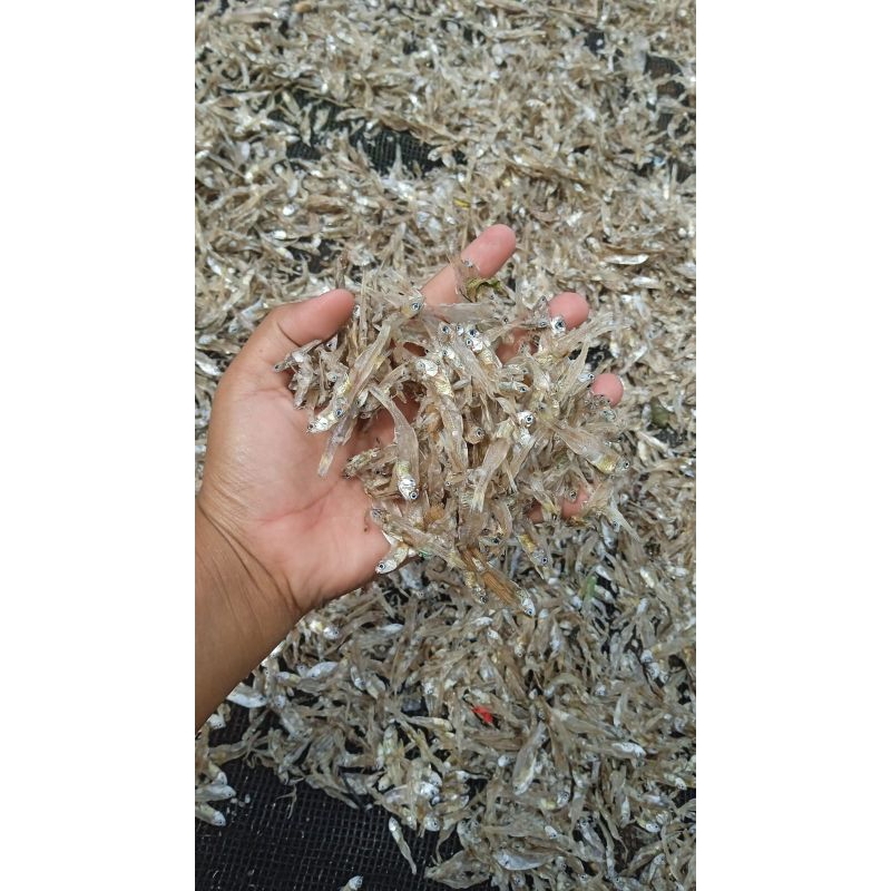 Jual teri kering 250 gram gereh ikan asin tahan satu bulan | Shopee ...