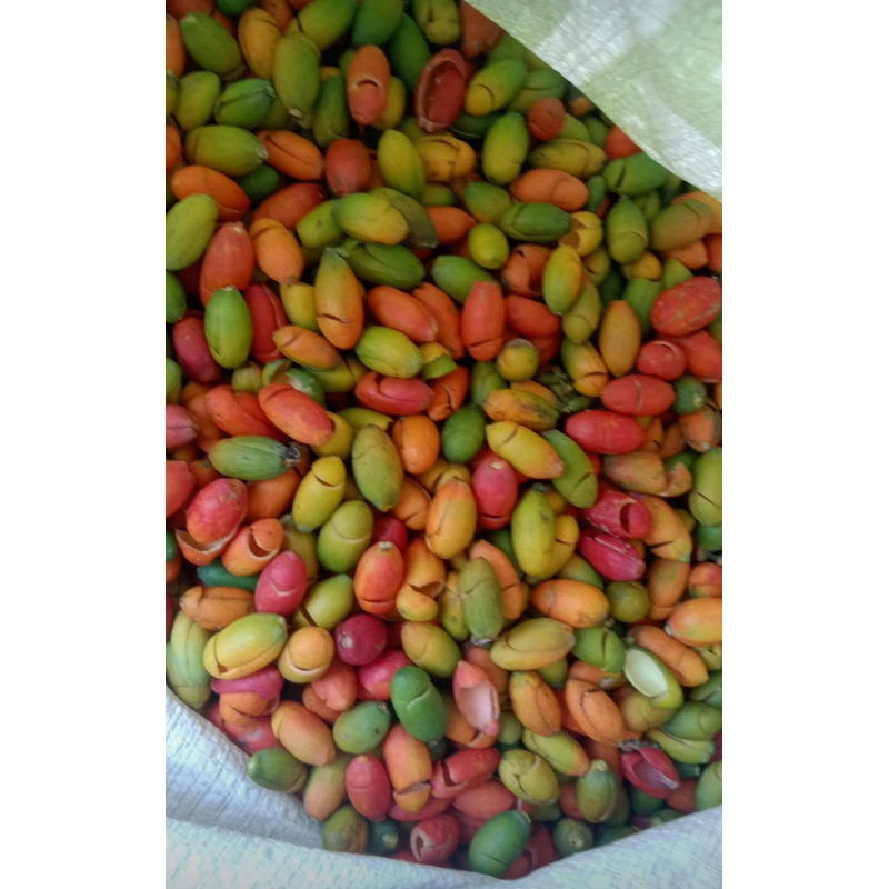 Jual KULIT MLINJO/kulit melinjo 1kg | Shopee Indonesia
