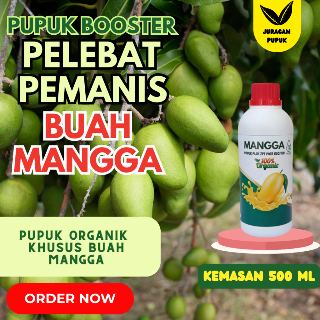 Jual Pupuk Organik cair | Pupuk Booster Buah mangga | Pupuk buah mangga | pupuk pelebat buah ...