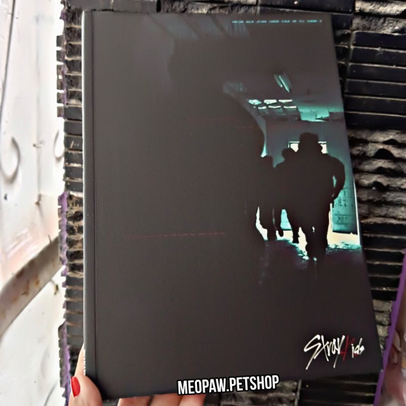 Jual [SEALED] STRAY KIDS 1st Mini Album - I AM NOT skz | Shopee Indonesia