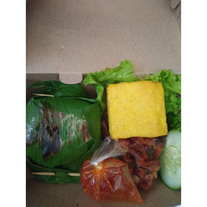 Jual nasi bakar + ayam bakar/goreng + tahu/tempe (minimal 10 pax) | Shopee Indonesia