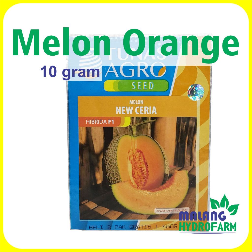 Jual Benih Melon Orange New Ceria F1 10 gram Tunas Agro bibit biji buah ...