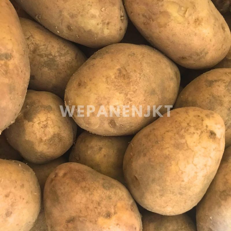 Jual Kentang Dieng Kentang Kuning Sedang 1kg | Shopee Indonesia