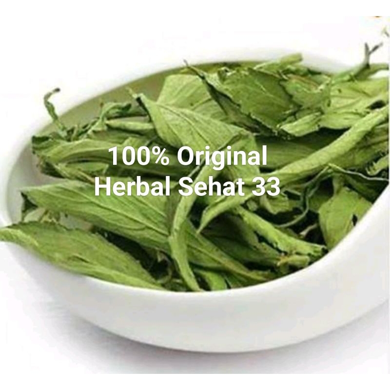 Jual daun Stevia manis alami pengganti gula rasa manis Stevia leaves ...