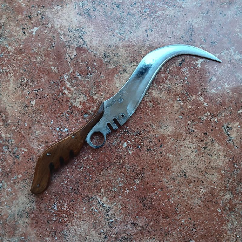 Jual Kudi Merpati Putih Stainless 3mm | Shopee Indonesia