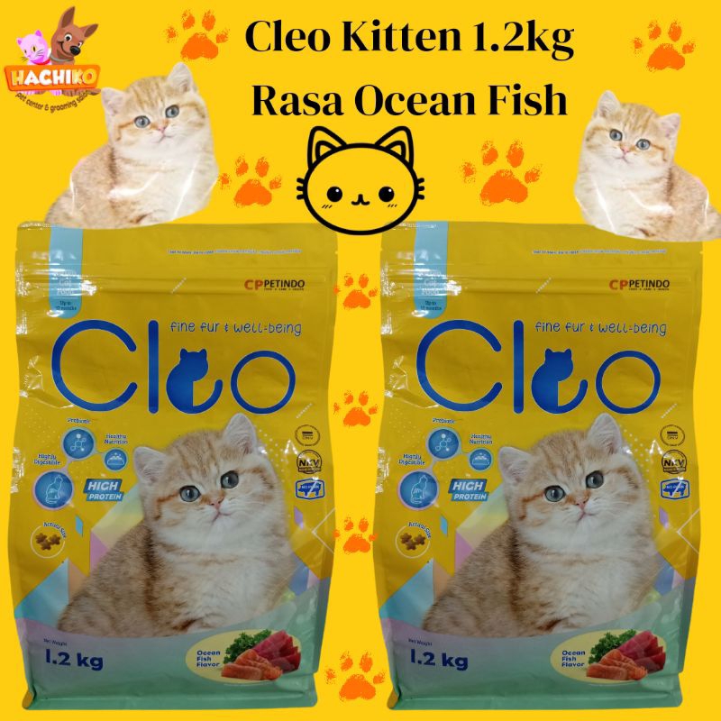 Jual Cleo Cat Kitten Ocean Fish 1,2kg | Shopee Indonesia