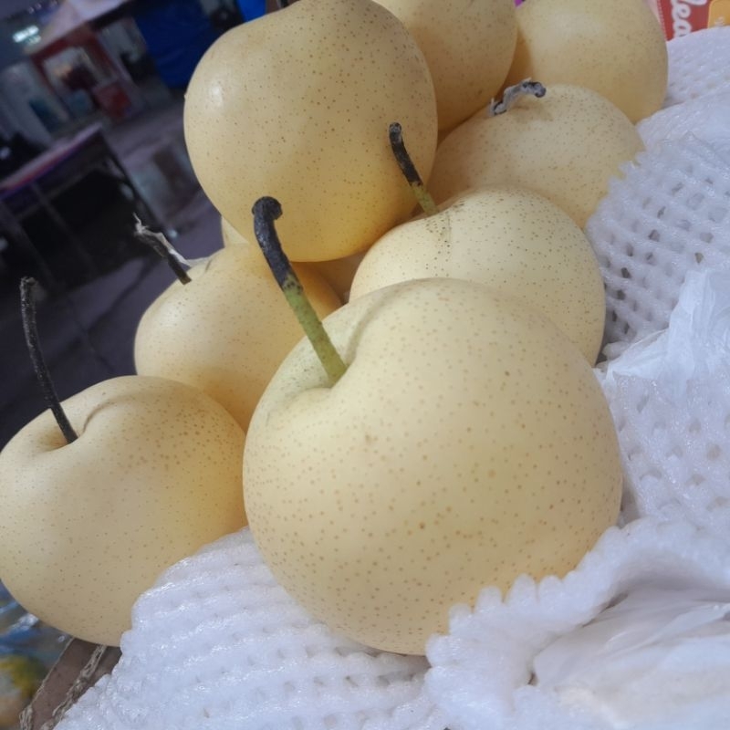 Jual PIR MADU CENTURY MANIS 1KG | Shopee Indonesia