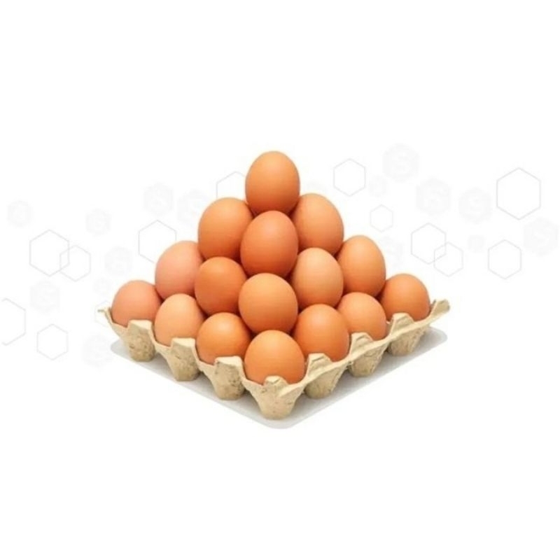 Jual Telur ayam negeri 1 rak isi 30 butir.( harga naik) | Shopee Indonesia
