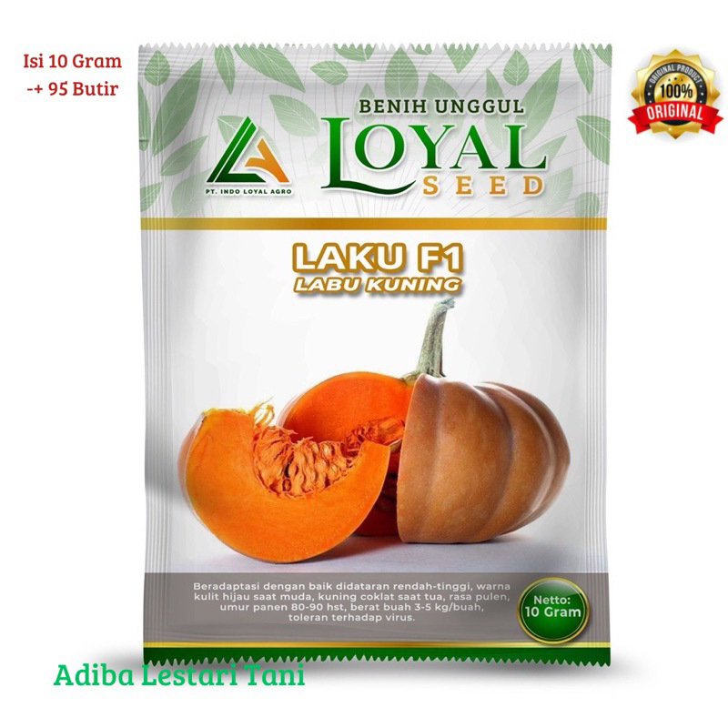 Jual Benih Labu Waluh LAKU F1 10 Gram - Bibit Labu Kuning / Waluh ...