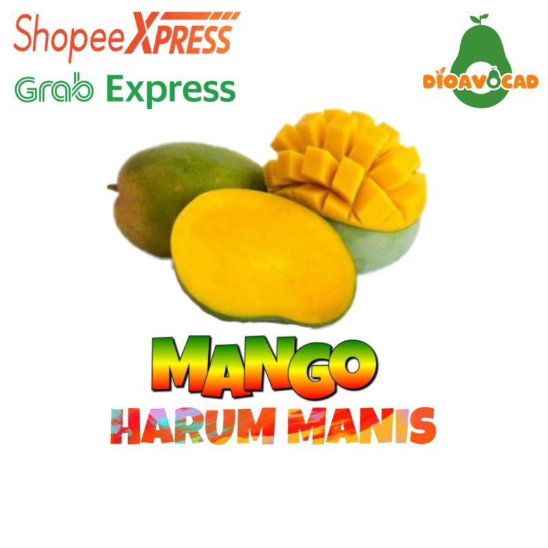 Jual Buah mangga harum manis / mango fruit 1 kg | Shopee Indonesia