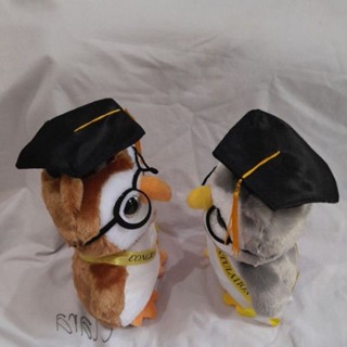 Jual Boneka Owl Graduation Boneka Burung Hantu Wisuda Kacamata Galileo ...