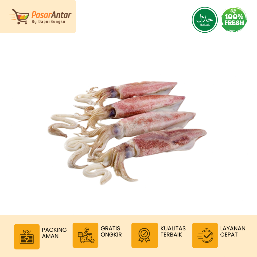 Jual Cumi Segar Ukuran Sedang Bandung | Shopee Indonesia