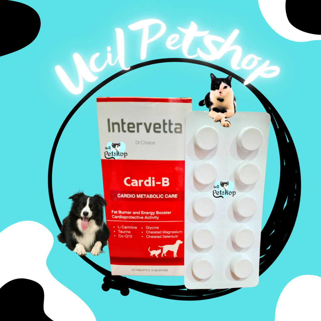 Jual Intervetta Cardi B Suplemen Jantung Cardiac Kucing Anjing (1 ...