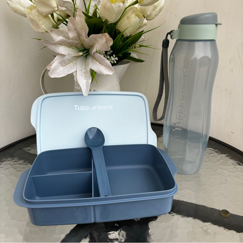 Jual kotak makan tupperware (coolteen lunch box) | Shopee Indonesia